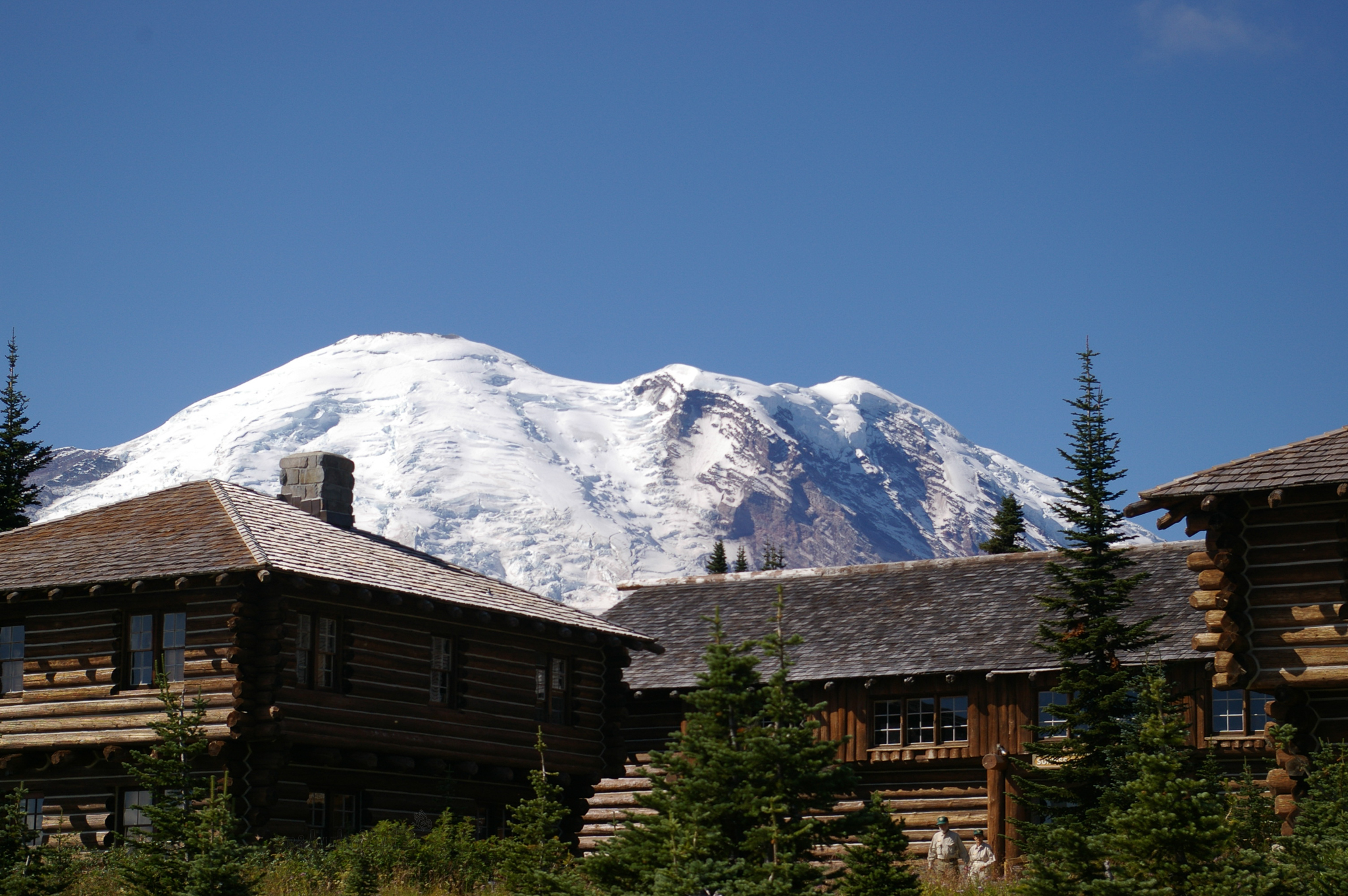 Mount Rainier: A Symbol of Home - Ladybugs, Bumblebees, and Butterflies